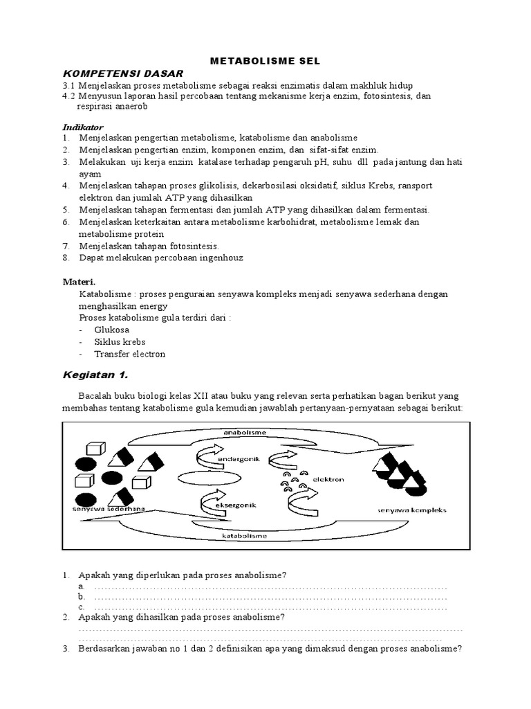 LKPD Metabolisme Sel Dan Enzim | PDF