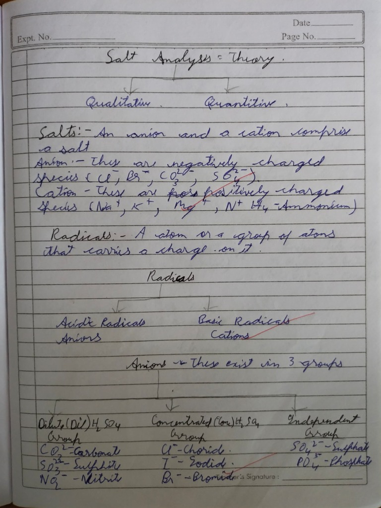 Chemistry Practical Experiments | PDF