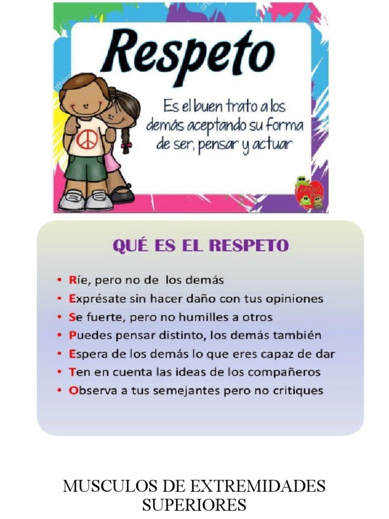 Musculos de Extremidades Superiores | PDF | Mano | Hombro