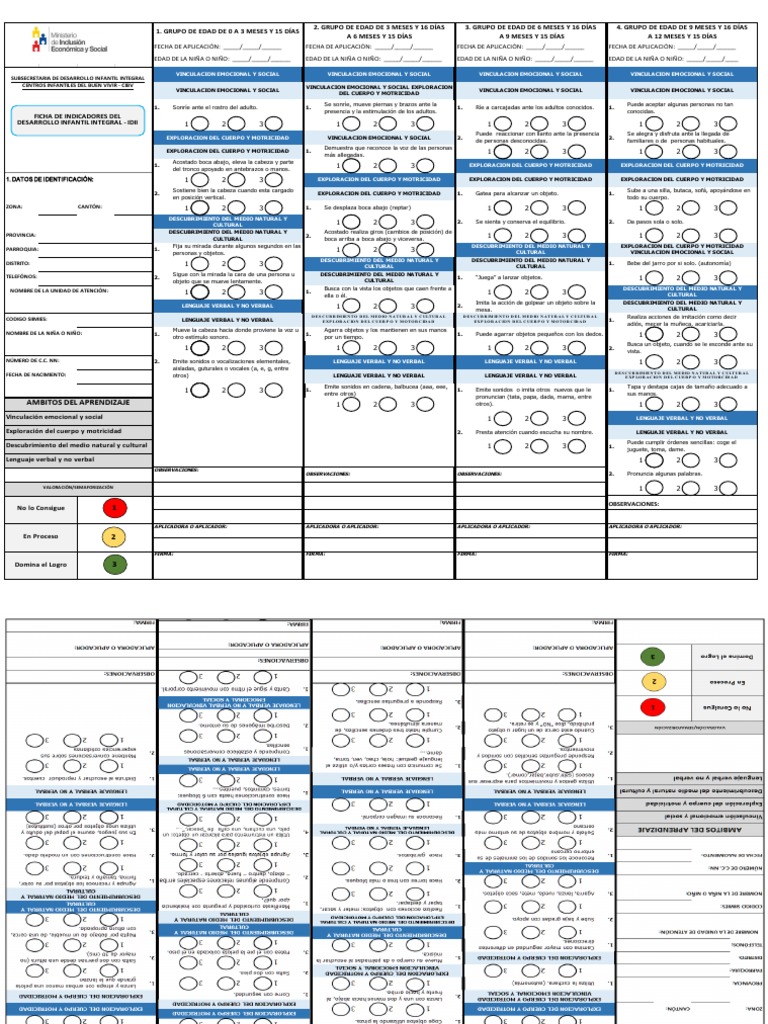 8 - Ficha Indicadores - Idii-1 | PDF | Ciencia cognitiva