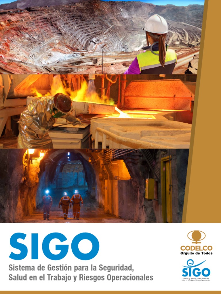 Sistema SIGO en Codelco: Seguridad y Salud | PDF | Seguridad y salud ...