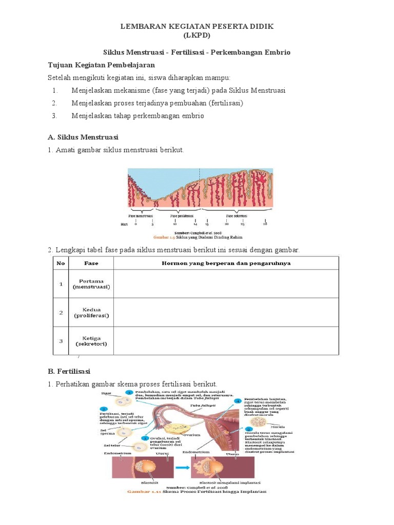 LKPD Fertilisasi | PDF | Karier & Perkembangan | Sains & Matematika