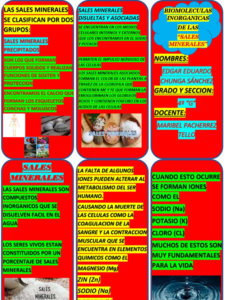 Sales Minerales | PDF