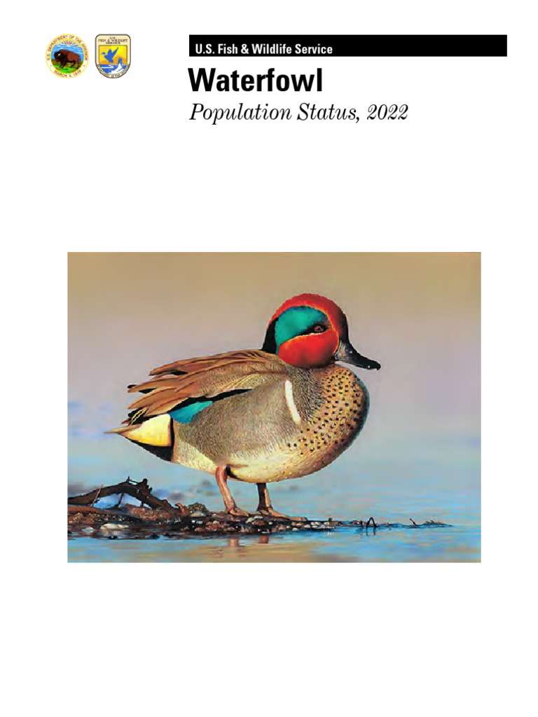 Waterfowl Population Status Report 2022 | PDF | Canadian Prairies ...