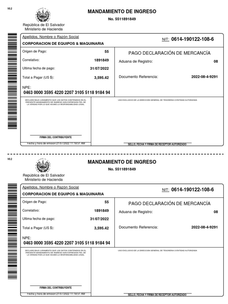 Mandamiento NPE | PDF