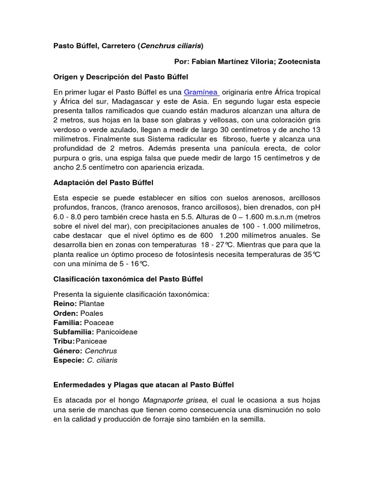 Ficha Tecnica Pasto Búffel | Descargar gratis PDF | Pasto | Organismos