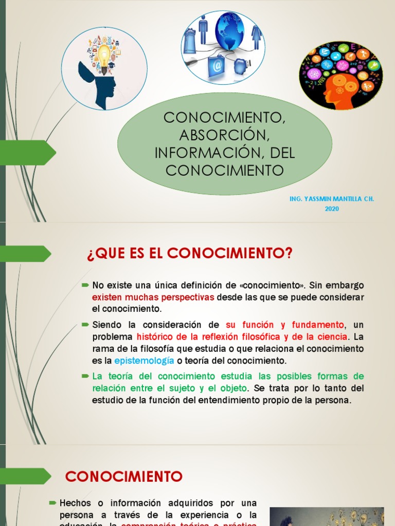 Conocimiento, Absorción, Información, Investigación | PDF | Conocimiento | Experiencia