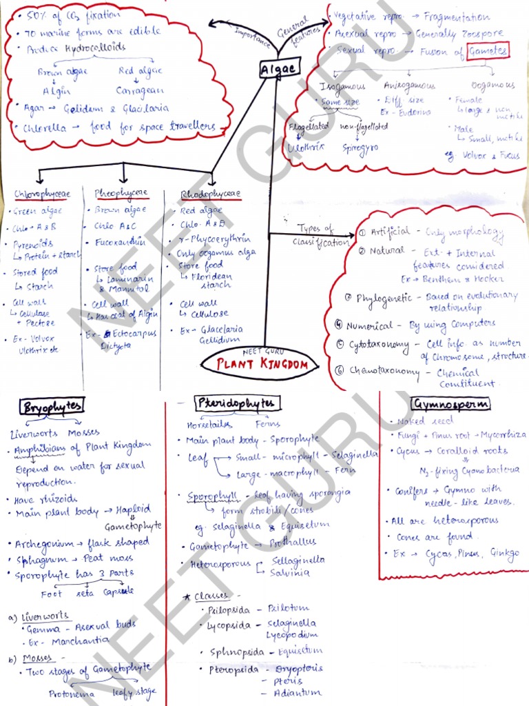 Plant kingdom Class 11 NCERT notes NEET_Watermarked | PDF | Botany ...