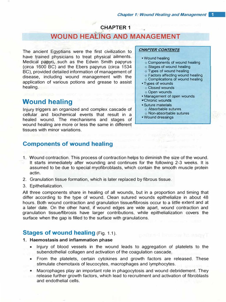 Wound Healing | PDF | Wound Healing | Scar