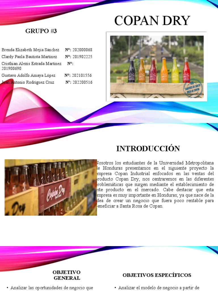Copan Dry Finish | PDF | Marketing | Producto (Negocio)
