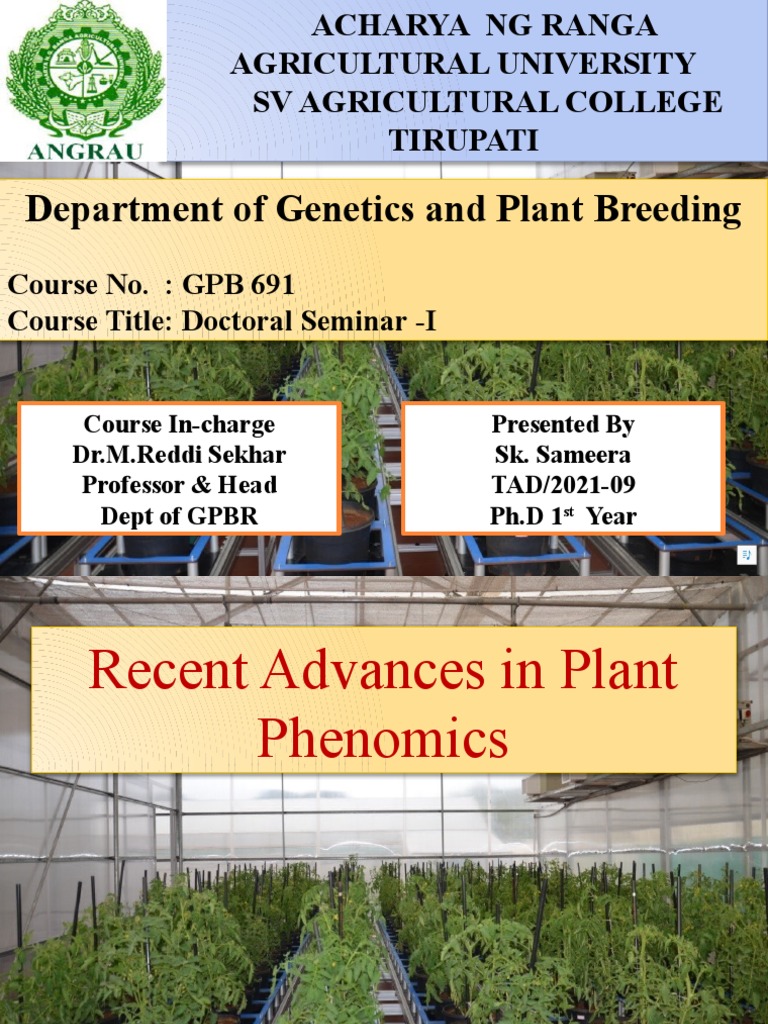 Doctoral Seminar-I Sameera | PDF | Quantitative Trait Locus | Plant Breeding