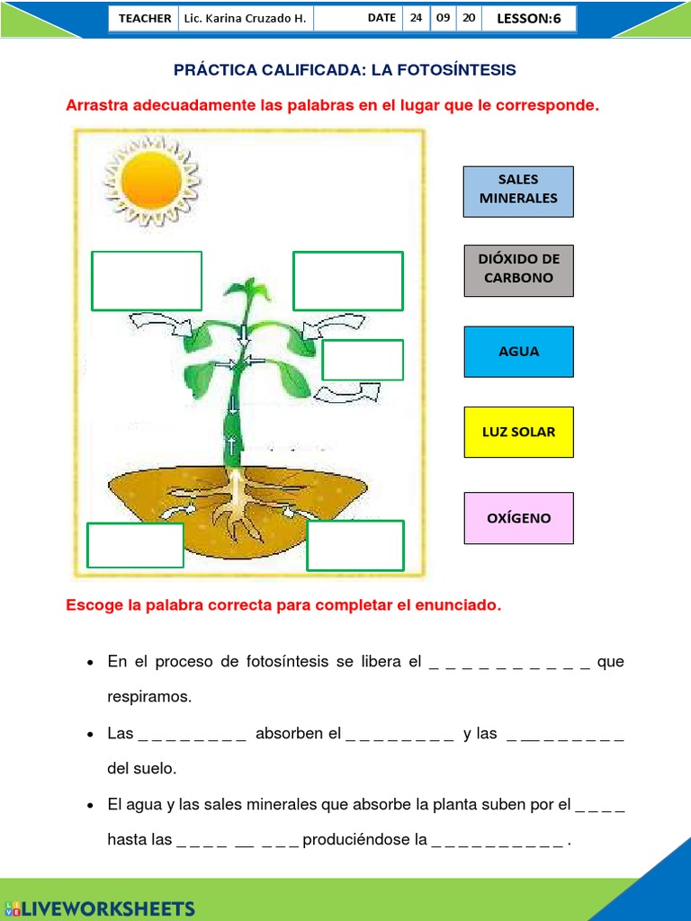 Arrastra Adecuadamente Las Palabras en El Lugar Que Le Corresponde | PDF
