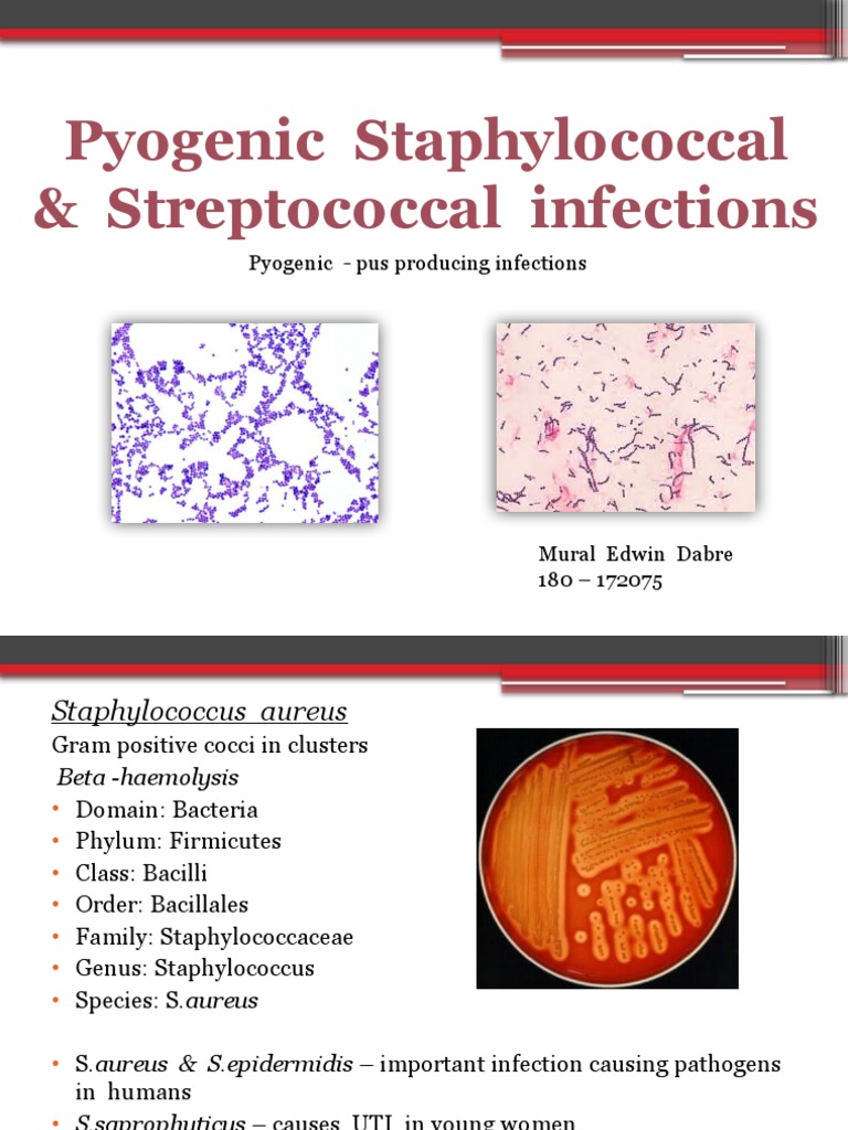 Pyogenic Staphylococcal & Streptococcal Infections | PDF ...