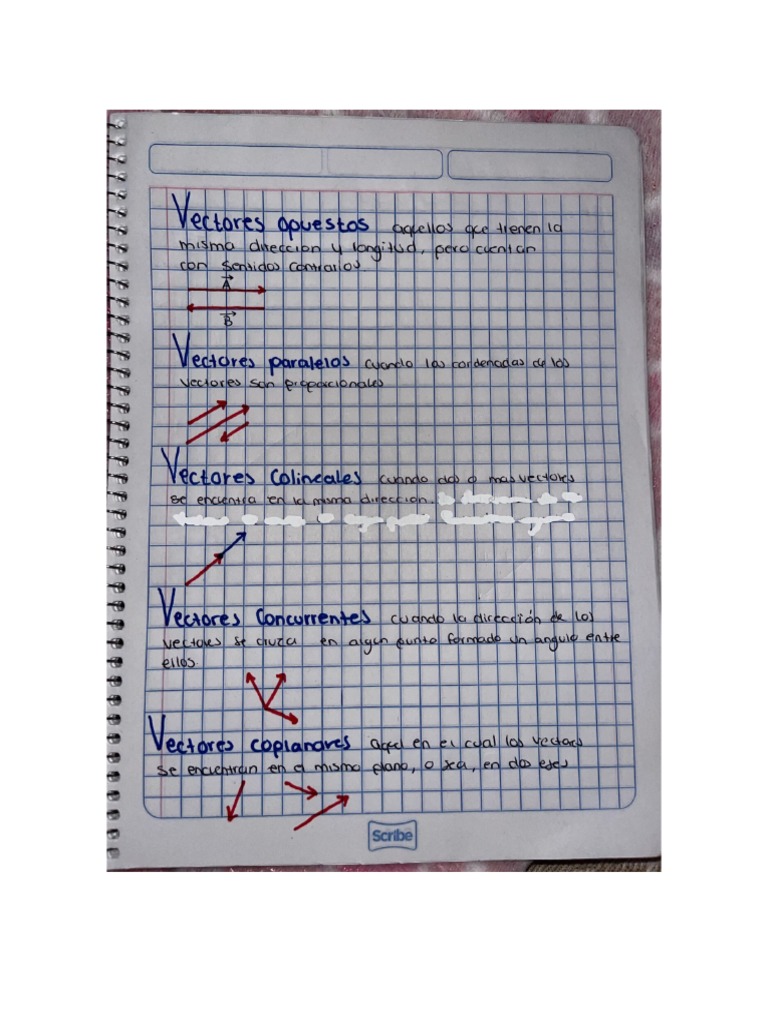Tipos de Vectores | PDF