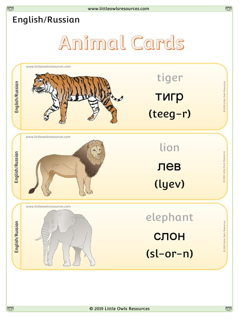 Animal Cards (Russian | PDF | Organisms | Mammals