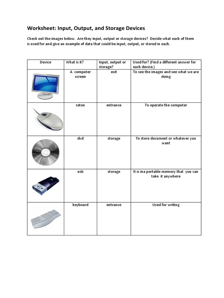 Worksheet: Input, Output, and Storage Devices | PDF