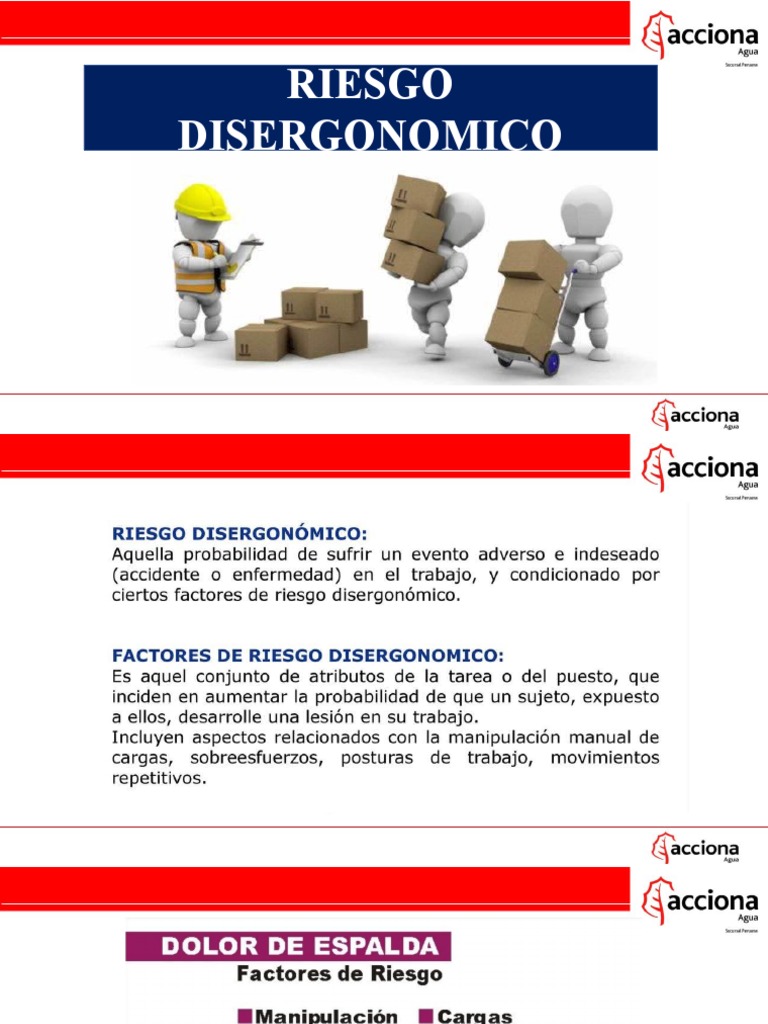 Riesgo Disergonómico | PDF