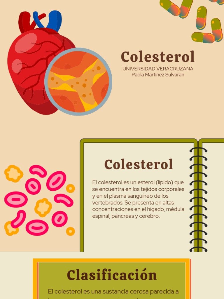 Colesterol | PDF | Colesterol | Lípido