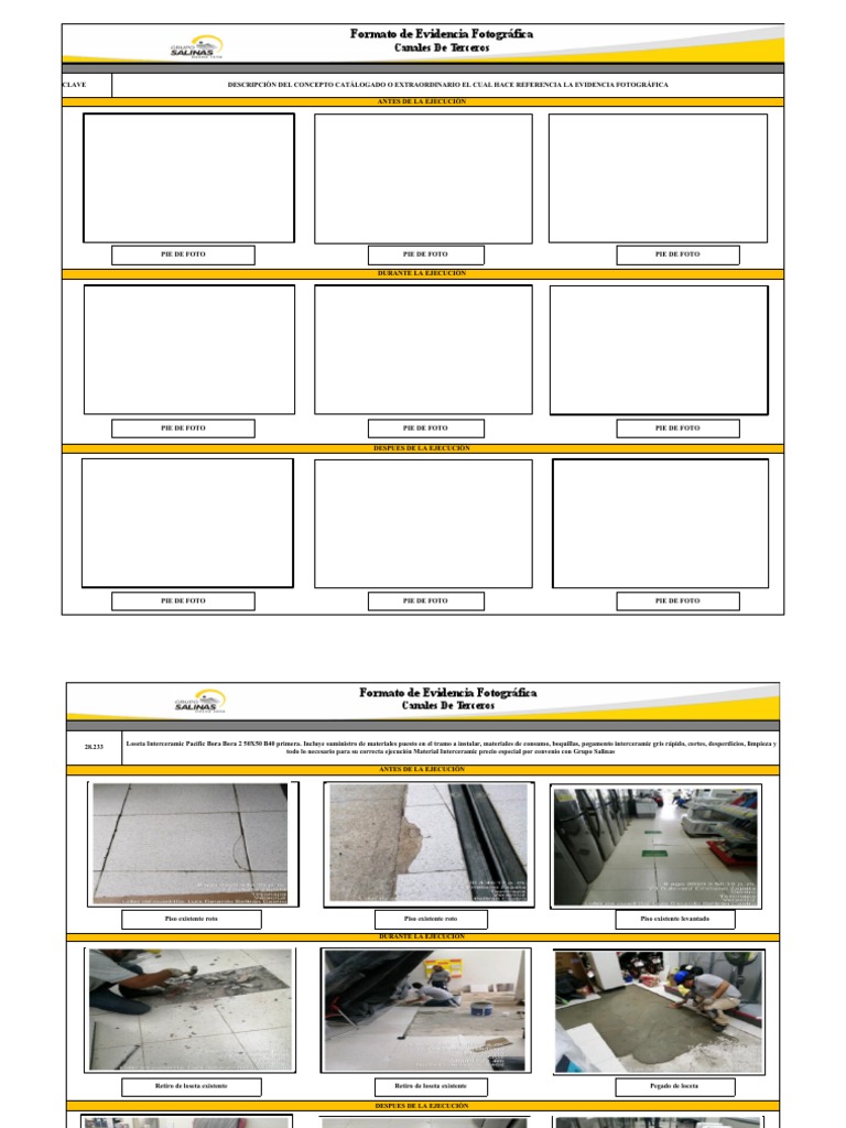 Formato Evidencia Fotográfica | PDF