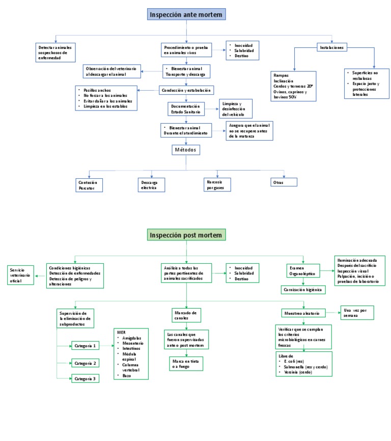 Mapa Conceptual Ante y Post Mortem | PDF | Industria de alimentos ...