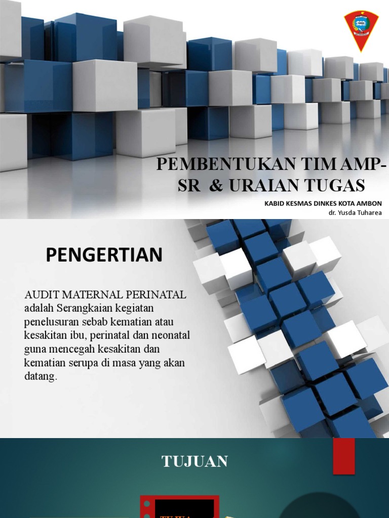Tim AMP-SR dan Audit Kematian Ibu | PDF