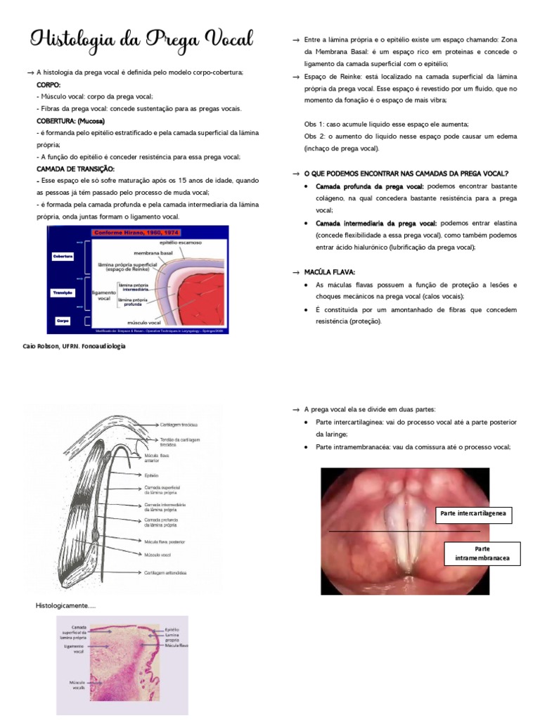 Histologia Da Prega Vocal | PDF | Epitélio | Laringe