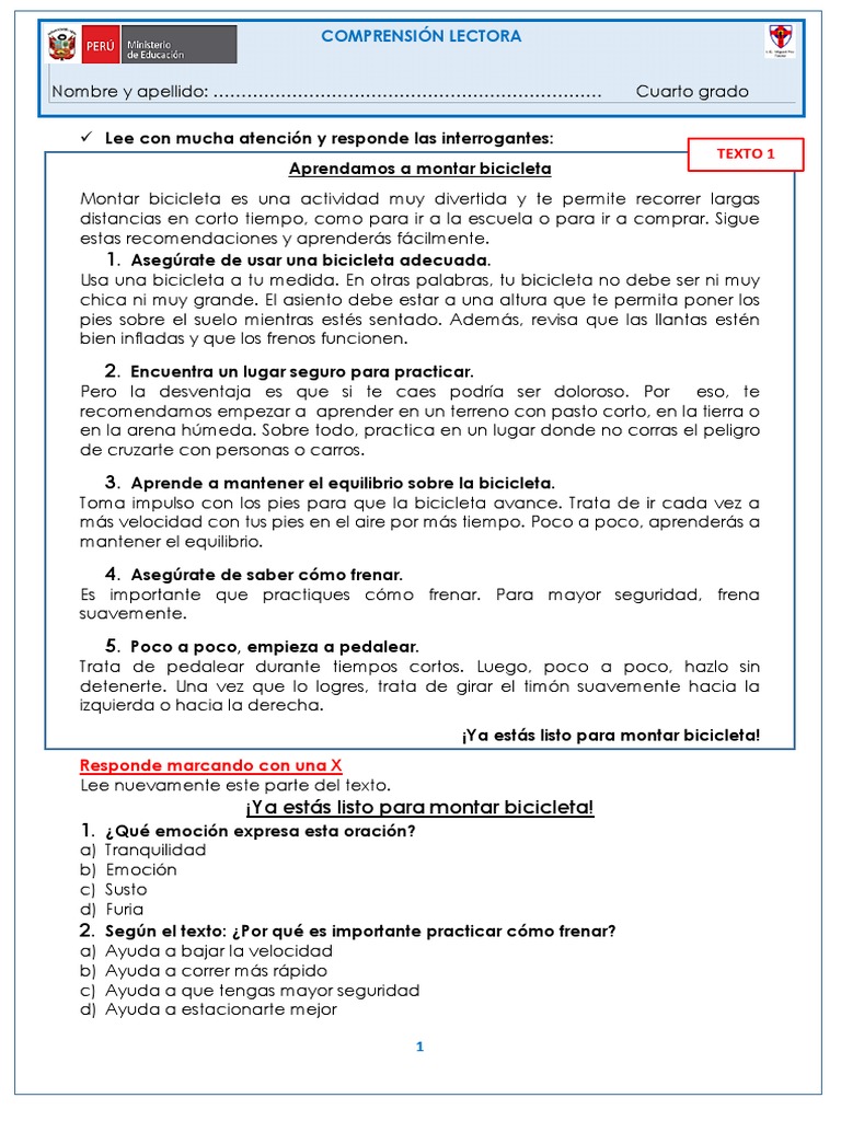 ACTIVIDAD DE COMUNICACIÓN - Comprensión Lectora | PDF | Leopardo | Puma