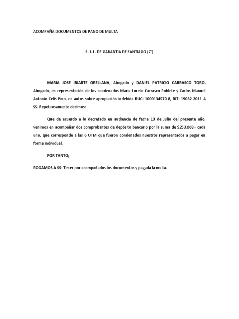 Acompaña Documentos de Pago de Multa | PDF