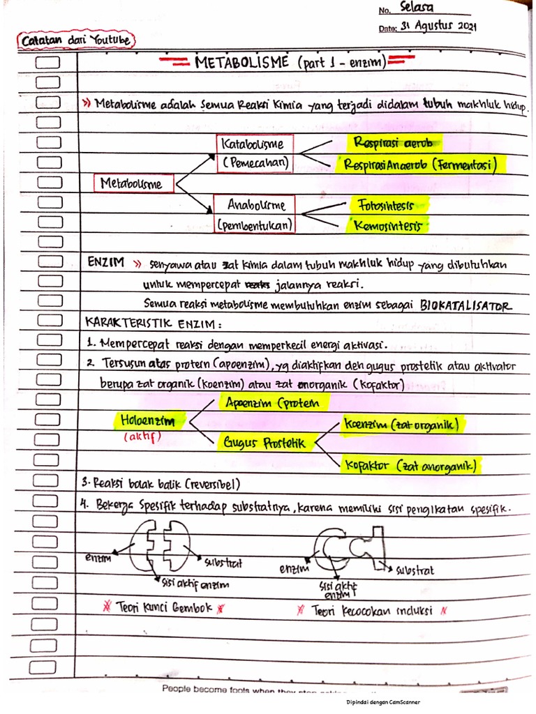 Metabolisme Yemima XIIMia4 | PDF