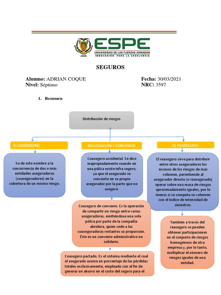 Analizar Conceptos - Coaseguro | PDF | Reaseguro | Seguro