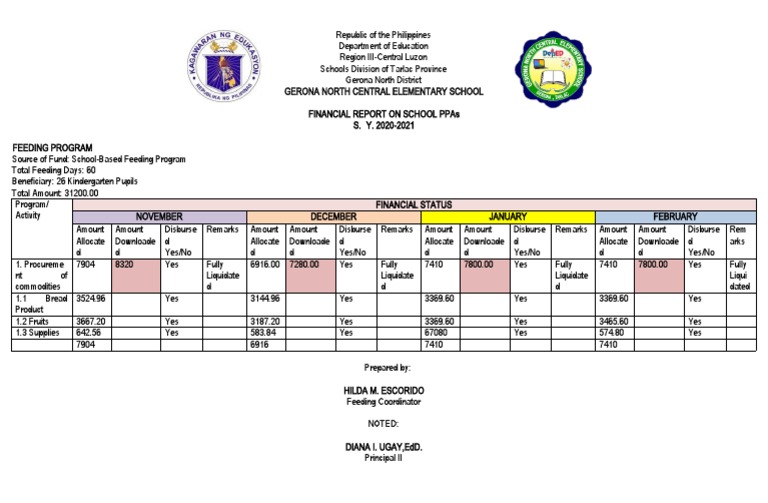 FINANCIAL REPORT ON SCHOOL PPAs | PDF