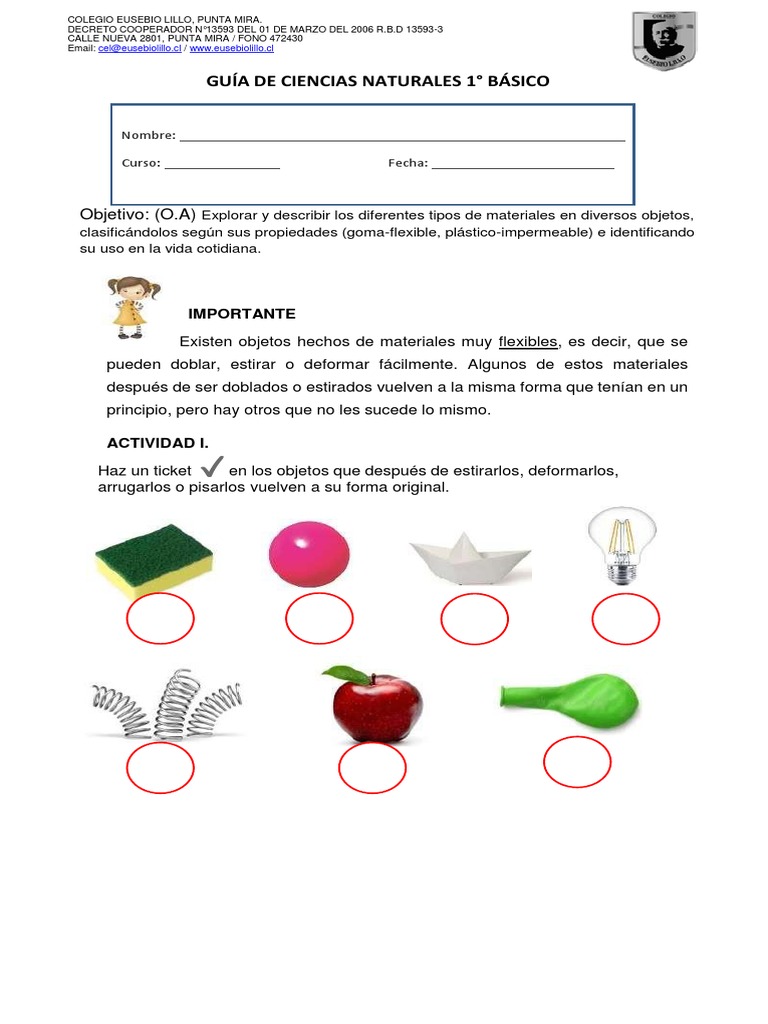Guía de Ciencias Naturales Primero Básico | PDF
