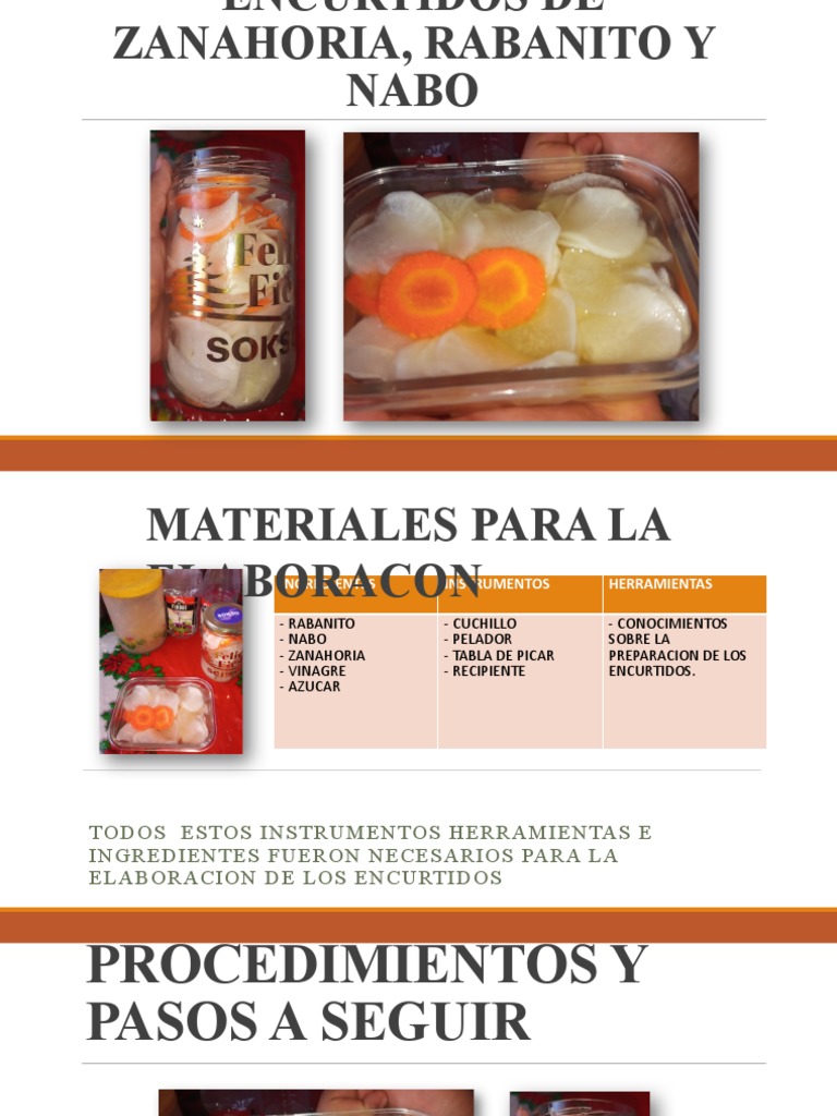 Elaboracion de Encurtidos de Zanahoria, Rabanito y Nabo | PDF