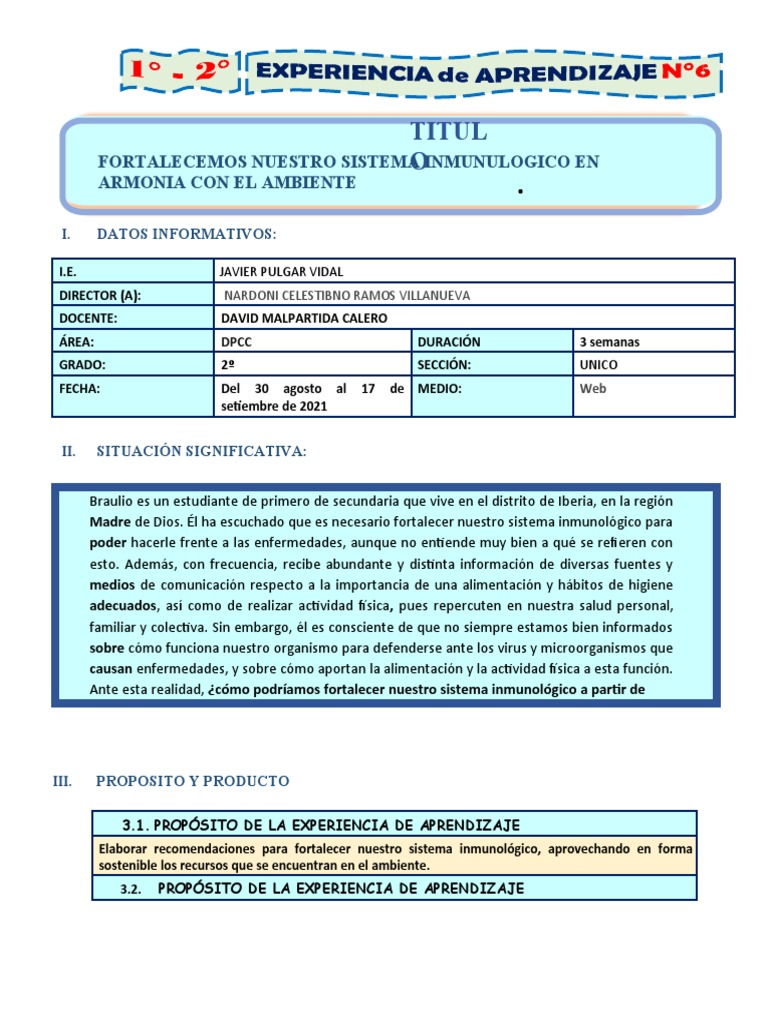 EXPERIENCIA DE APRENDIZAJE N°6 DPCC DAVID MALPARTIDA Modelo | PDF | Aprendizaje | Evaluación