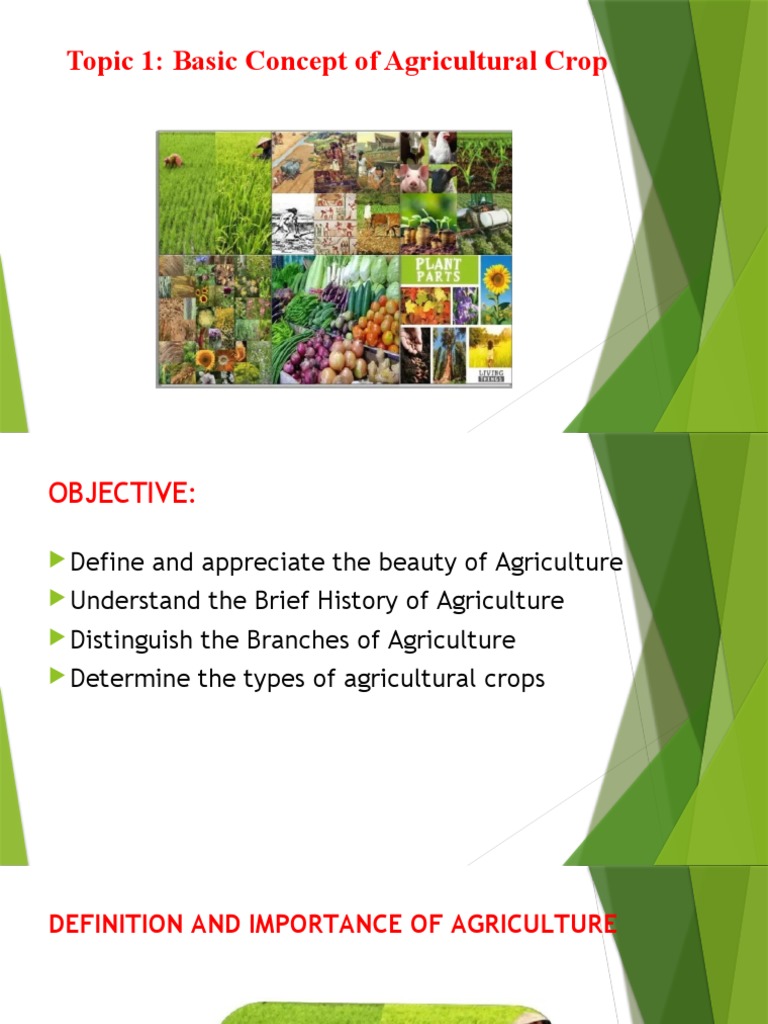 Lesson 5 | PDF | Agriculture | Livestock