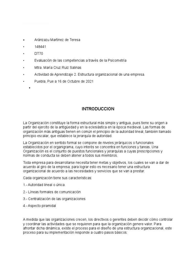 Actividad de Aprendizaje 2. Estructura Organizacional de Una Empresa. | PDF | Marketing | Business