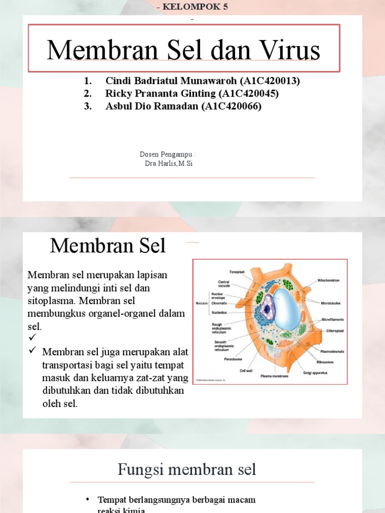 Kelompok 5 Biologi Sel - Virus Dan Membran Sel-1 | PDF