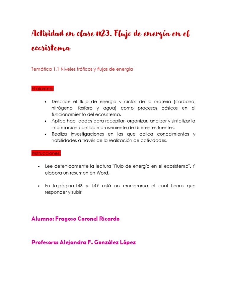 Flujo de Energía en Ecosistemas | PDF | Ecosistema | Fotosíntesis