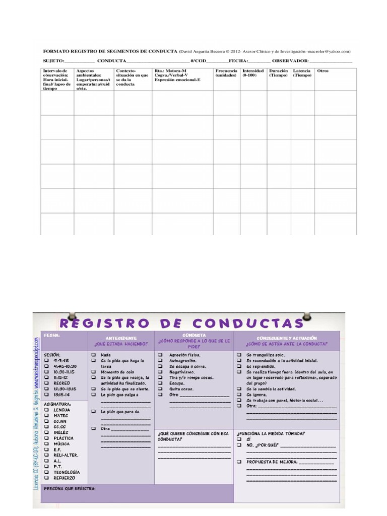 Registros de Conducta | PDF