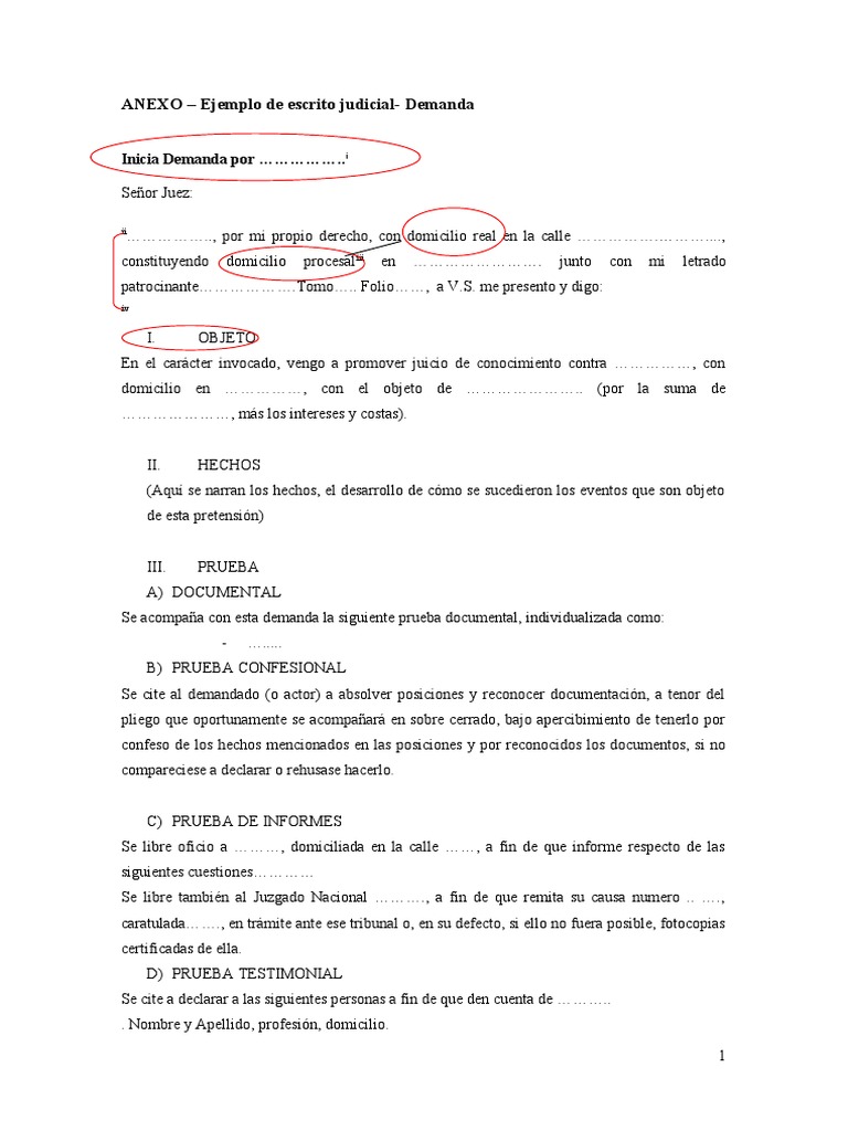 Demanda Modelo Anexo | PDF | Demanda judicial | Principios éticos