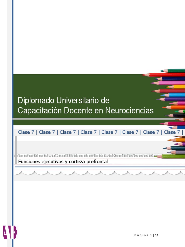 Funciones Ejecutivas Y Su Relación Con La Corteza Prefrontal