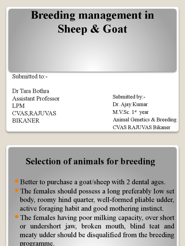 Sheep & Goat Reproductive Management | PDF | Sheep | Goat