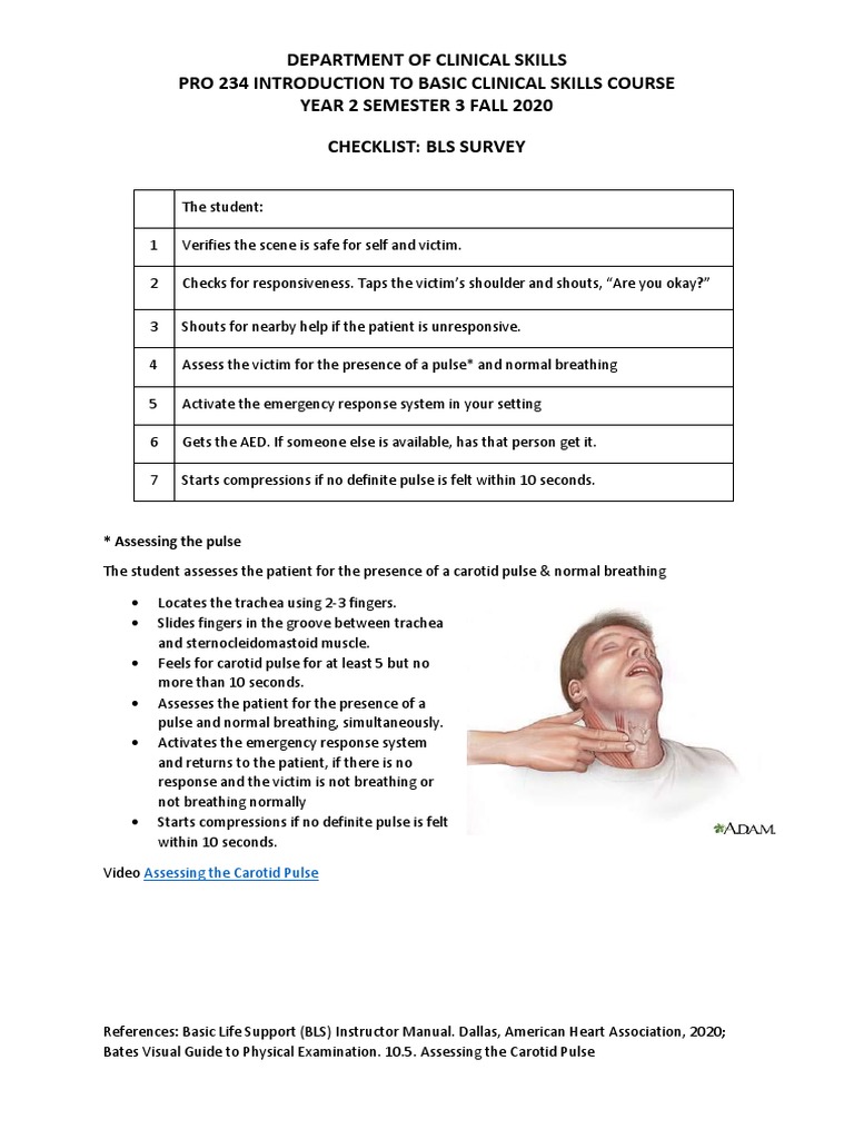 Checklist BLS Survey | PDF