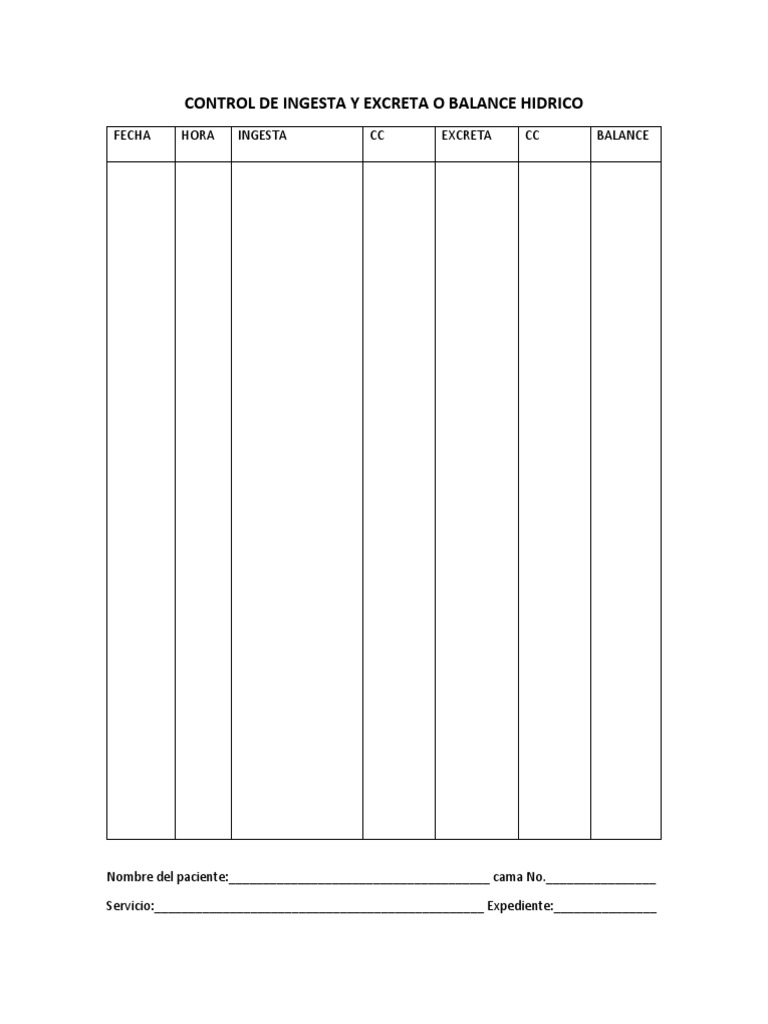 Formato Control de Ingesta y Excreta | PDF