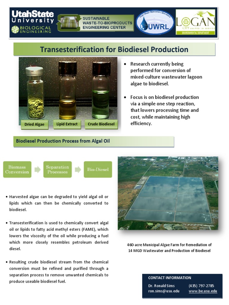 Transesterification | PDF | Algae Fuel | Biodiesel