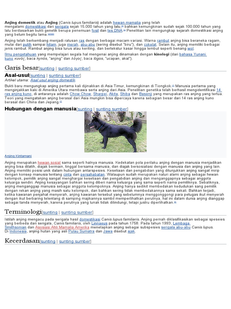 Anjing Domestik | PDF