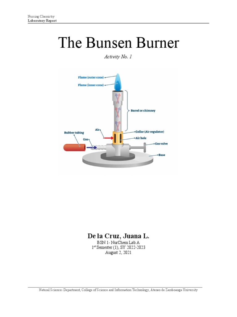 Attachment B SAMPLE Laboratory Report EDITABLE WORD VERSION | PDF | Science