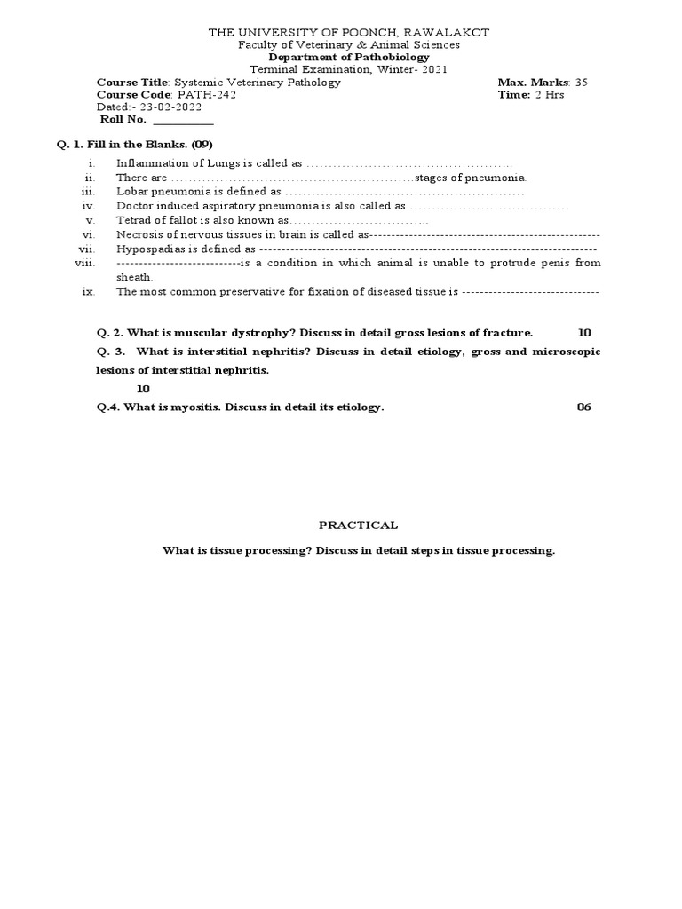 Systemic Path Terminal | PDF | Science & Mathematics