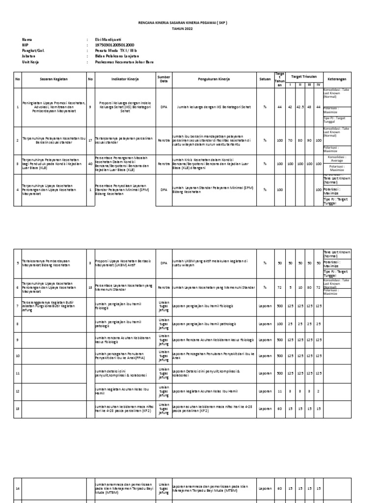 RENCANA KINERJA SASARAN KINERJA PEGAWAI (SKP) | PDF