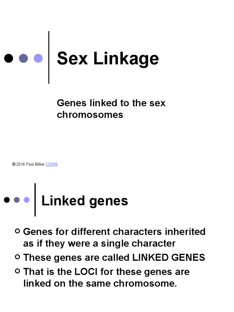 Sex Linkage Genes Linked To The Sex Chromosomes Pdf Coagulation Genetic Linkage